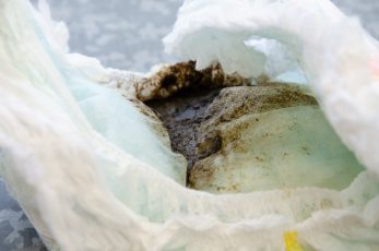 Les selles de bébé, quand s'inquiéter ? Voici un guide pour tous les ...