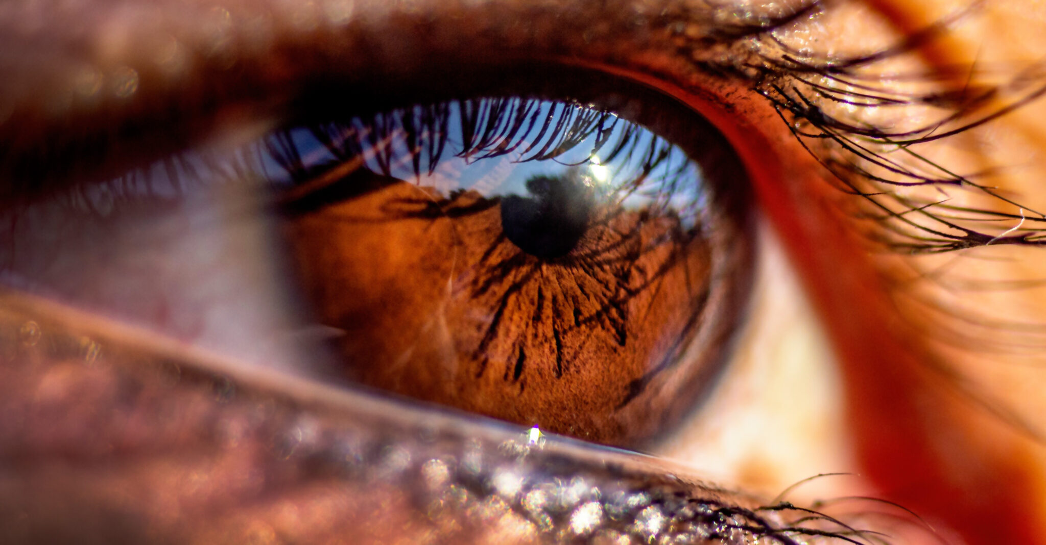 Couleur des yeux : origine et rareté des yeux bleu, verts, noisette, etc.