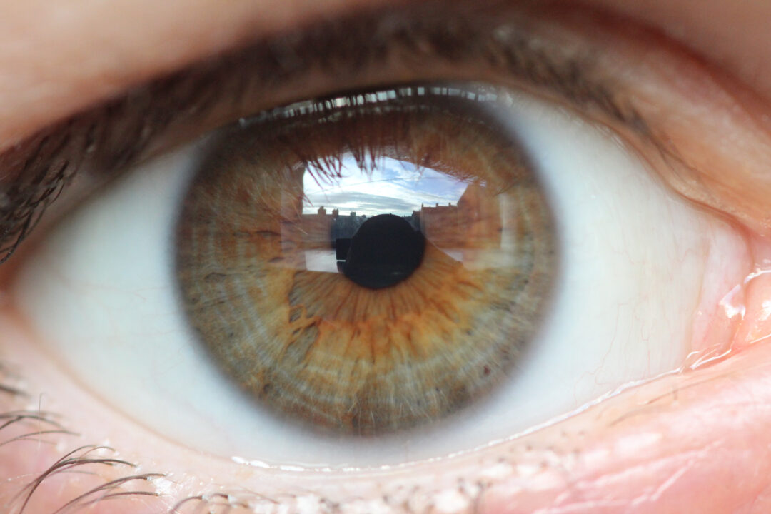 Couleur des yeux : origine et rareté des yeux bleu, verts, noisette, etc.