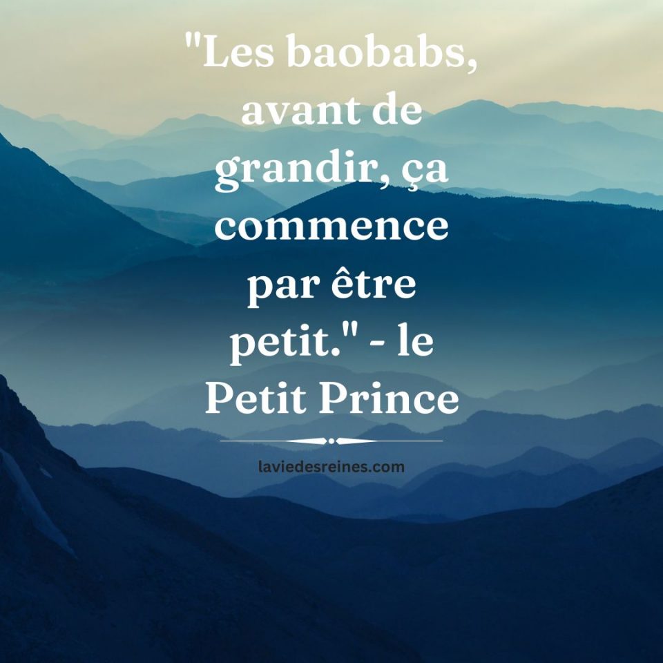 Le Petit Prince : 51 Citations inspirantes sur les étoiles, la vie et ...