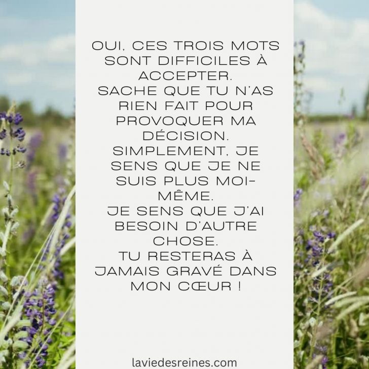 Moments difficiles : 81 Lettres d'amour et de soutien pour votre chéri(e)