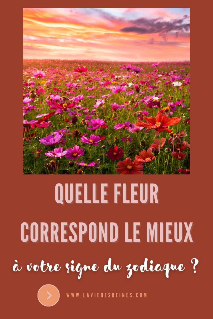 Quelle fleur correspond le mieux à votre signe du zodiaque