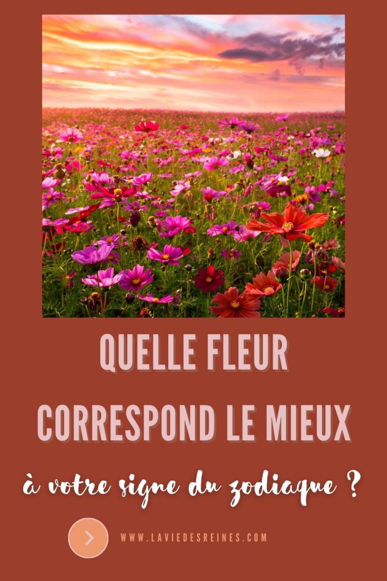 Quelle fleur correspond le mieux à votre signe du zodiaque