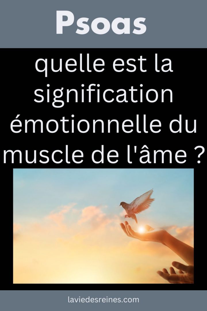 Psoas : quelle est la signification émotionnelle du muscle de l'âme