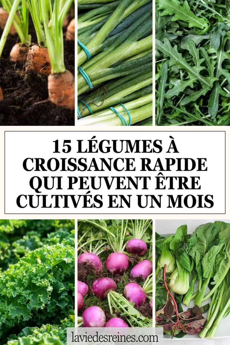 15 Légumes à croissance rapide qui peuvent être cultivés en un mois