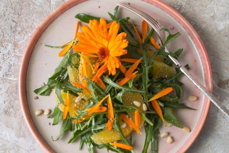 10 Raisons de cultiver le calendula et 15 recettes à base de calendula
