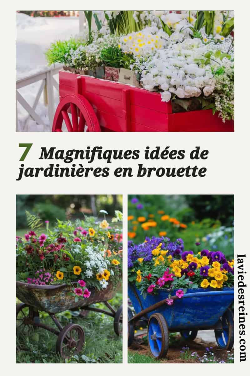 Jardinières : 12 Astuces Pour Les Choisir Au Mieux – JPNQ