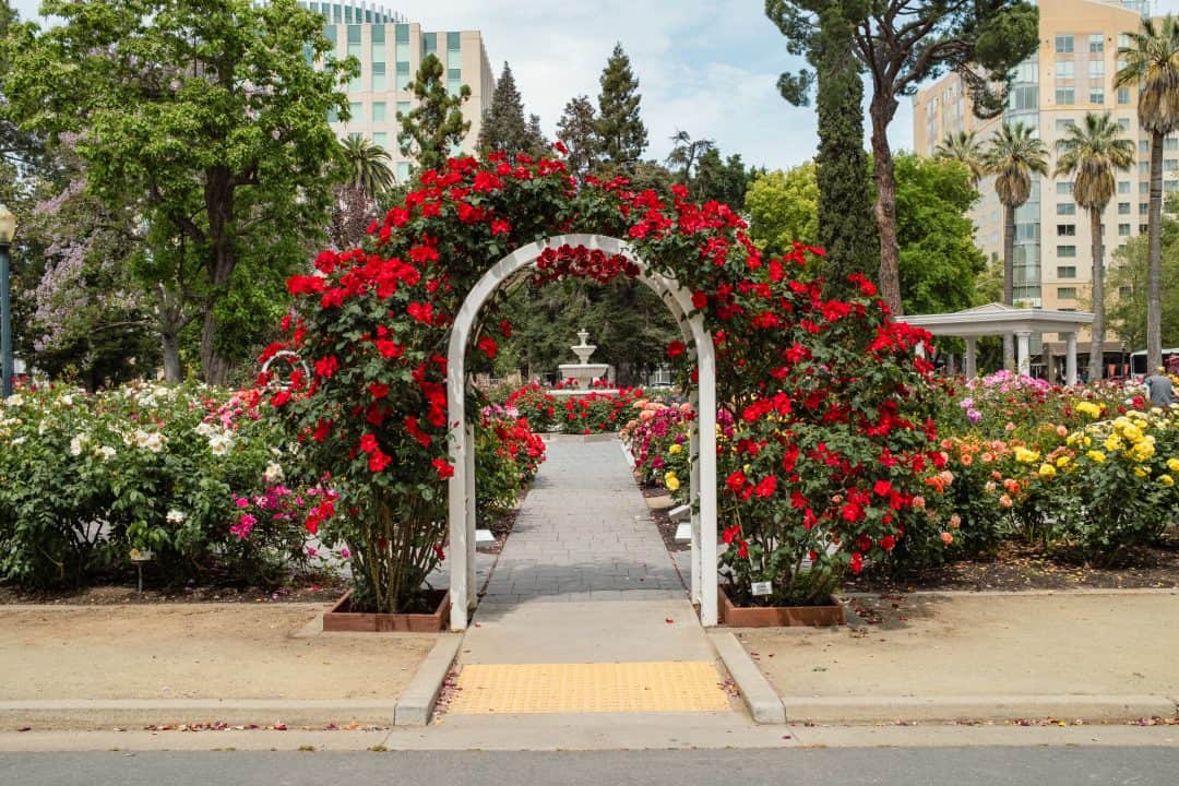 8 Idées étonnantes d'arches de fleurs pour ton jardin