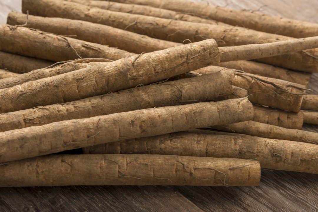 La racine de bardane : Un examen approfondi de ses avantages et de ses ...