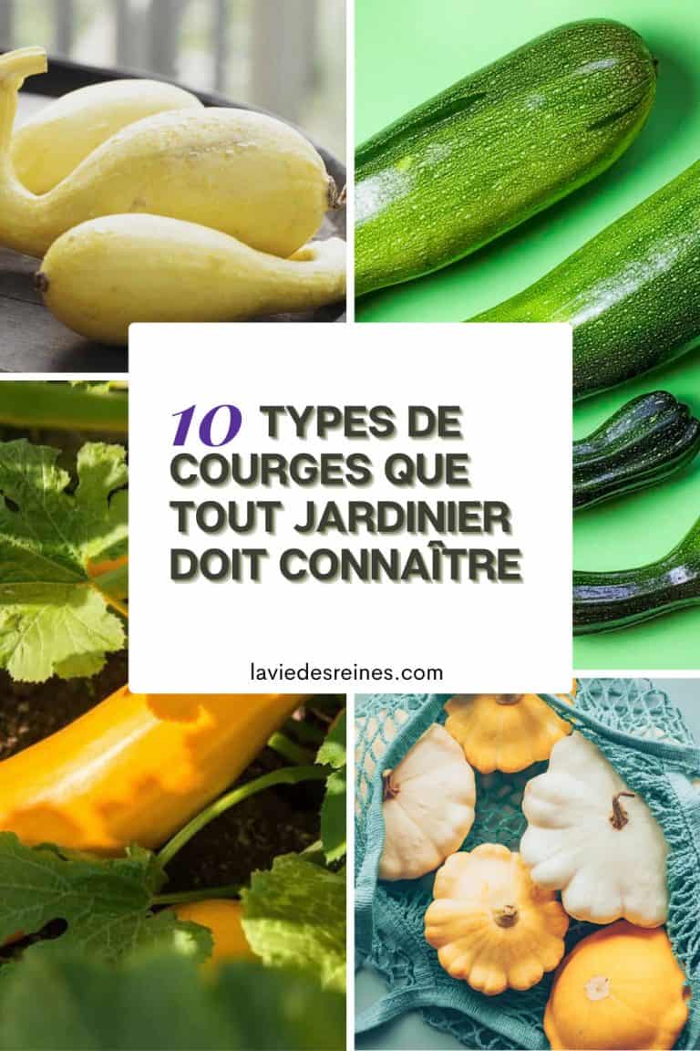 10 Types de courges que tout jardinier doit connaître