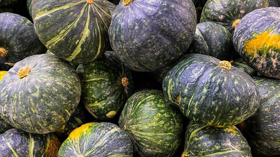 10 Types de courges que tout jardinier doit connaître